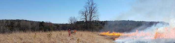 Controlled Burn | York Region