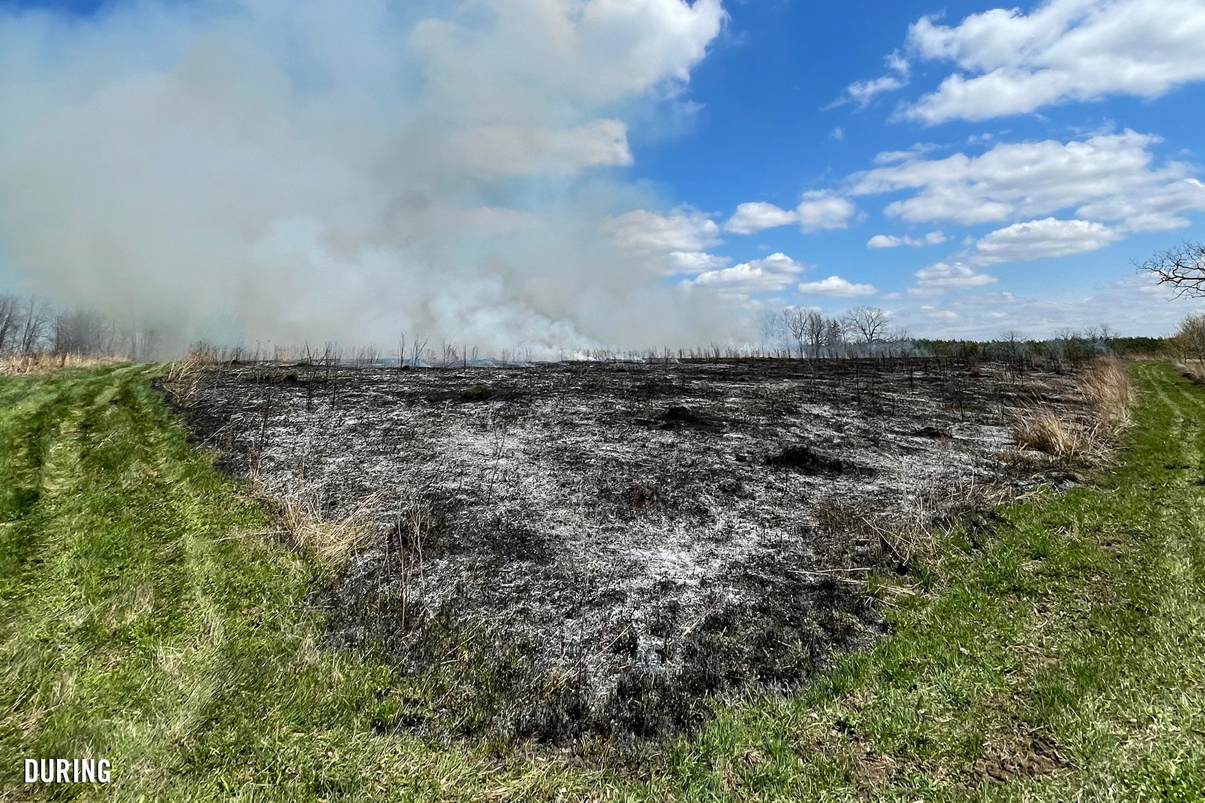 Controlled Burn | York Region