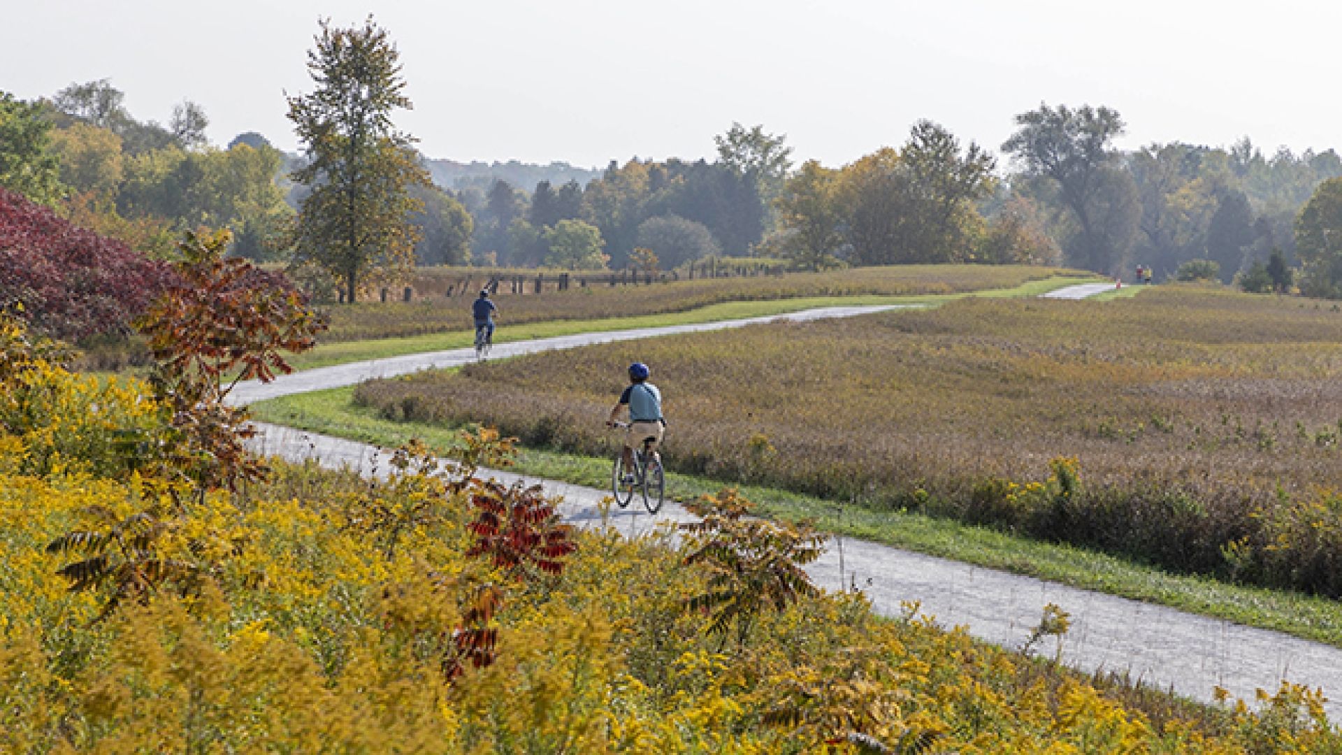 Cycling | York Region