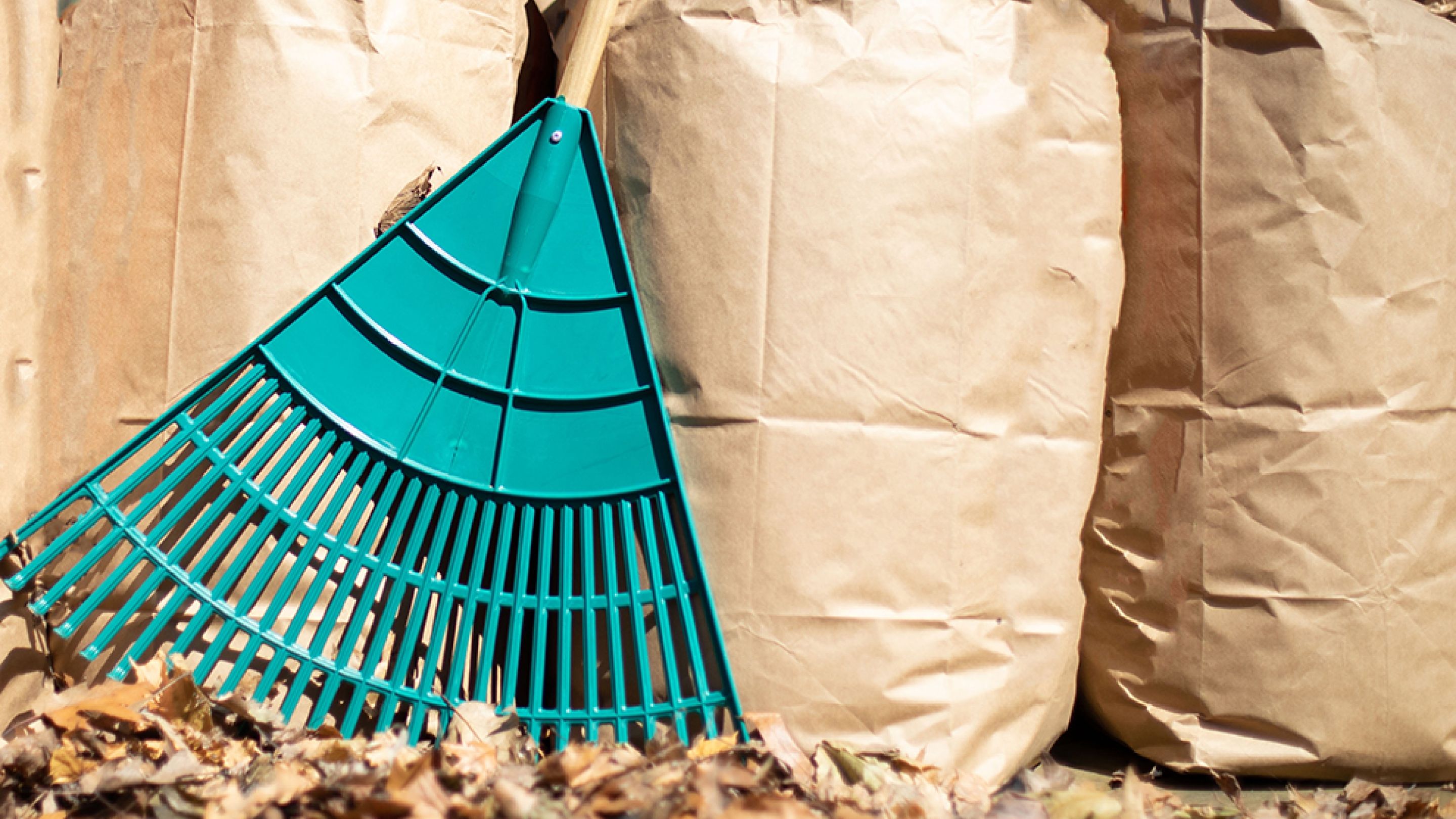 Garbage and Recycling | York Region