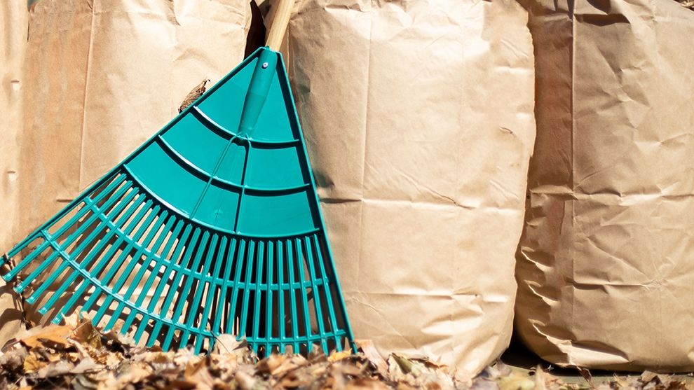 Garbage and Recycling | York Region